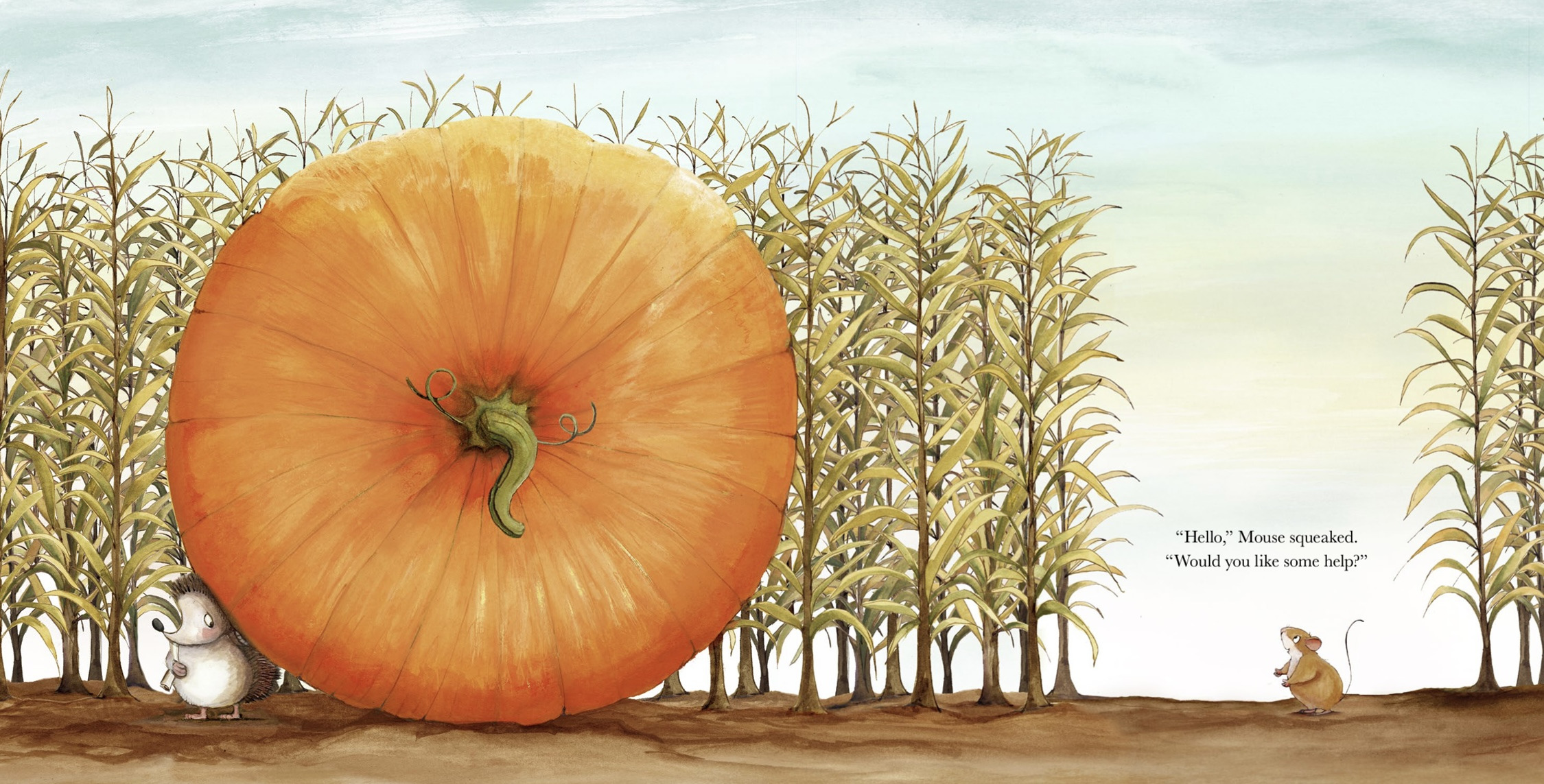 A Bold Pumpkin Plan – Katy Hudson – Schizanthus Nerd
